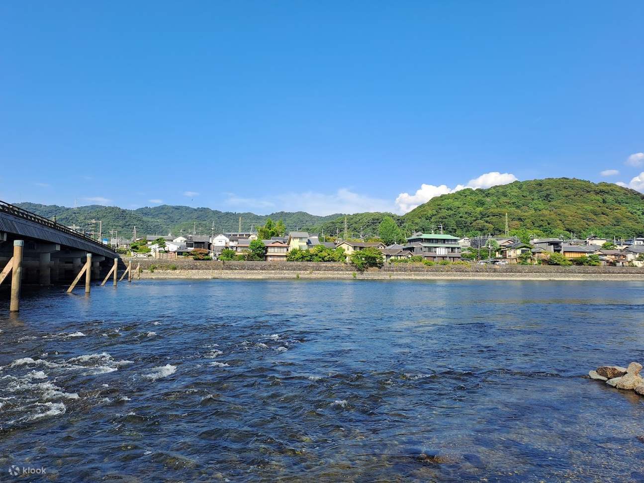 [Kyoto & Nara & Uji Day Trip] Nara Park's Adorable Deer & Fushimi Inari Shrine's Thousand Torii ...